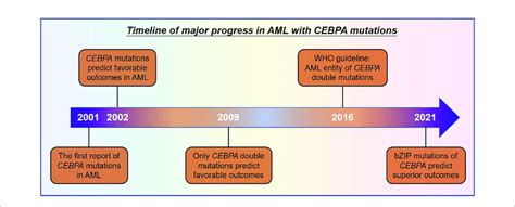 Major Research Progress Of Aml Patients With Cebpa Mutations Download Scientific Diagram