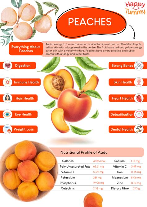 Peach Fruit Health Benefits 3 Health Benefits Of The White Peach The