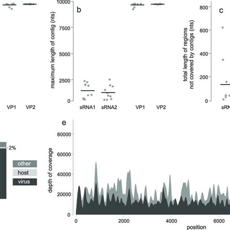 Generation Of Complete Consensus Viral Genome Sequence De Novo Download Scientific Diagram
