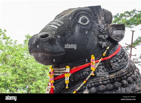 Top 999+ nandi images hd – Amazing Collection nandi images hd Full 4K