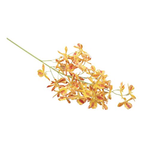 Oncidium Orchid Yellow Orange Stem 90cm Silk Flower Stems Francisco Plant Couture