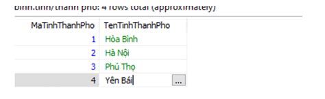 Bài 21 Thực hành cập nhật và truy xuất dữ liệu các bảng trang 100 SGK