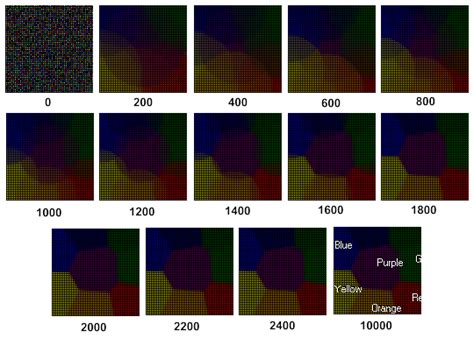 Using Self Organizing Feature Maps Kohonen Maps In Metatrader 5 Mql5 Articles
