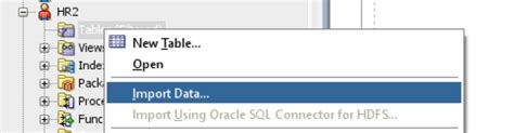 Oracle Static Data Masking To Secure Export Dump Backups Database Security Ninja