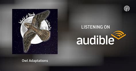 Owl Adaptations World Of Birds Podcasts On Audible