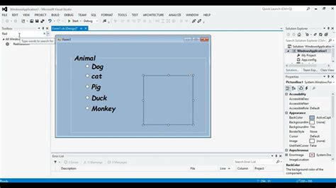 visual basic use radio button and picture box youtube