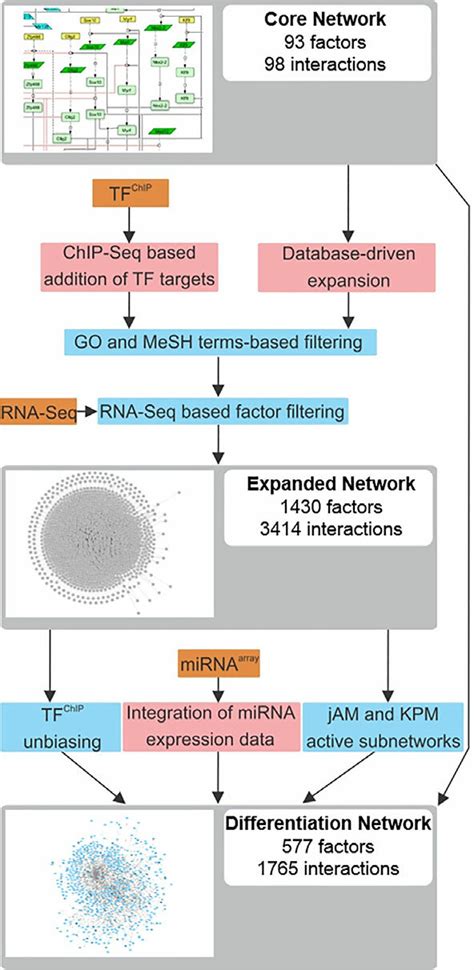 Overview Of The Network Reconstruction Workflow We Employed Literature Download Scientific