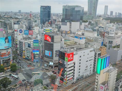 일본 도쿄 시부야 스카이 스크램블 스퀘어 교차로 전망대 뷰 카페 비오는날 가볼만한곳 추천 네이버 블로그