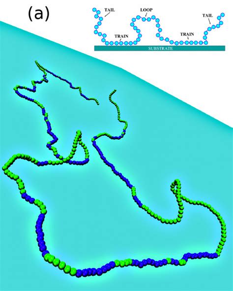 Linear Dimensions Of Adsorbed Semiflexible Polymers What Can Be Learned About Their Persistence