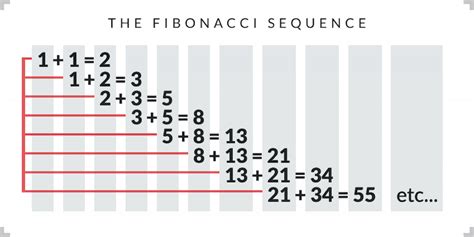 hiểu về dãy số fibonacci là gì và áp dụng trong cá cược