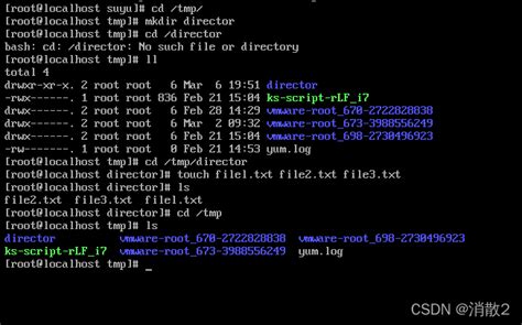 在tmp目录下，新建目录director新建三个txt文件，分别为file1txt，file2txtfile3txt，用vi编辑器