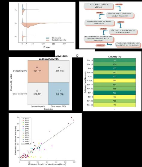 Data Analysis And Accuracy Of Dust Bathing Detection And Download Scientific Diagram