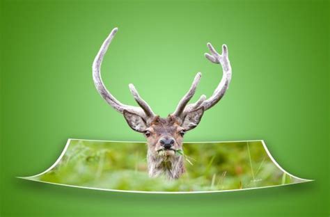 Understanding Histograms And How To Use Them Nature Ttl