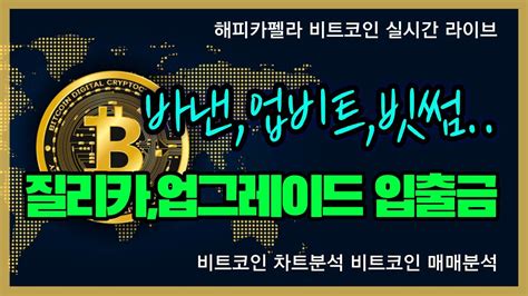 비트코인 실시간 질리카 업그레이드로 인한 입출금 중단 바낸업비트빗썸 과연 4월 25일 점심💎 Youtube