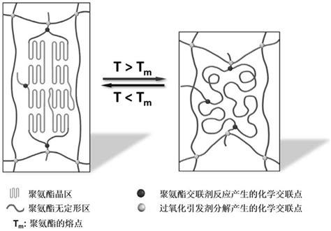 Spandex Fiber With Reversible Shape Memory Effect And Preparation