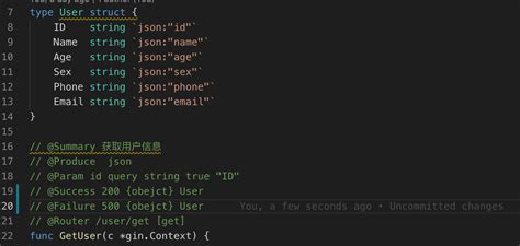 Go Gin Swagger：swag Init Error 南瓜焖饭 博客园