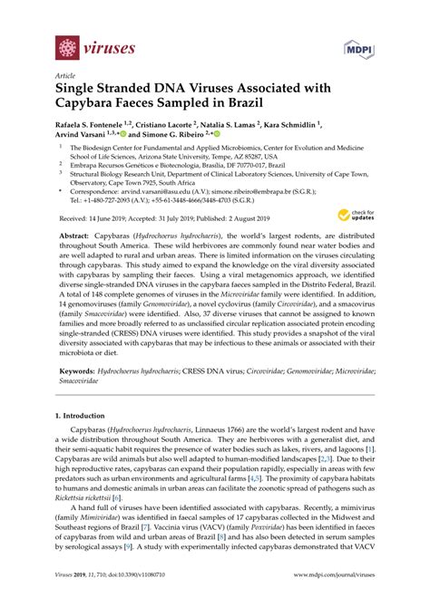 Pdf Single Stranded Dna Viruses Associated With Capybara Faeces Sampled In Brazil