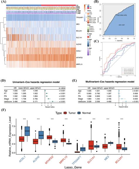 Prognosis Prediction And Risk Stratification Of Breast Cancer Patients Based On A Mitochondria