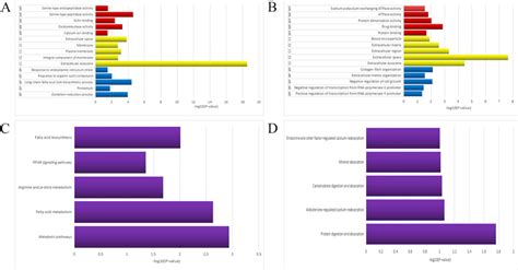 the go kegg enrichment analyses of the degs a top 15 enriched go