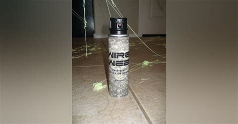 Wire Web Tripwire Detection Officer