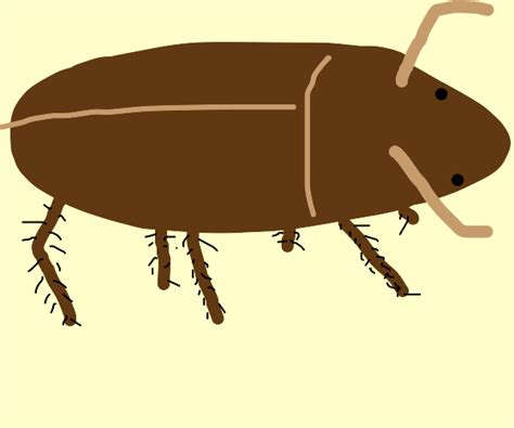 Cockroach Drawception