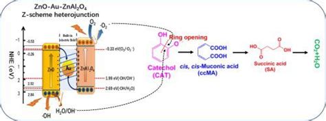 Zscheme Heterojunction Zno Au Znal2o4 Bridge Type Hot Carrier Transfer And Reaction Kinetics