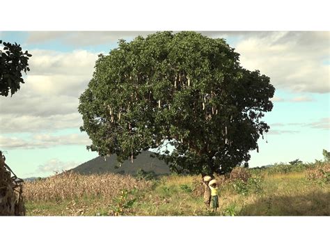 Man On A Mission Professor Of Research Raj Patel Devotes His Life To Ending Global Hunger
