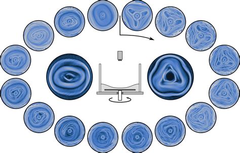 Finite Time Lyapunov Exponent Ftle Forward Time Integration Fields Download Scientific