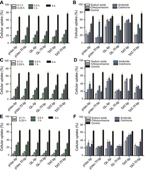 Development and screening of brain-targeted lipid-based nanoparticles | IJN