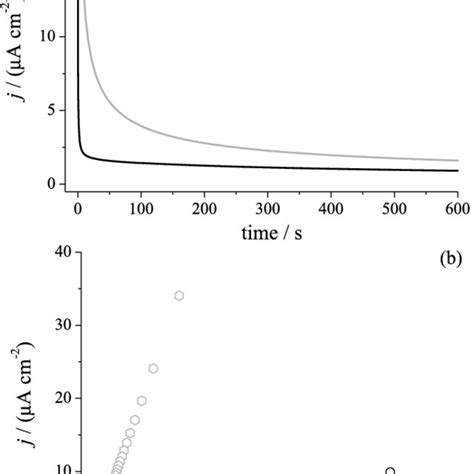 A Theoretical Black Line Using Cottrell Equation And Experimental Download Scientific