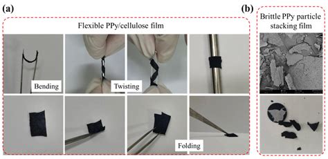 A Free Standing Polymer Polypyrrolecellulose Composite Film Via