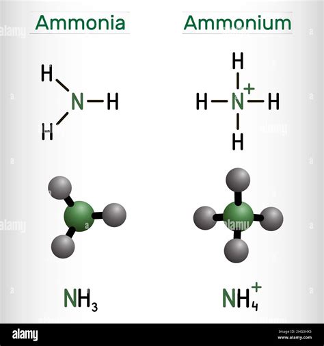 Nh3 Molecule Structure
