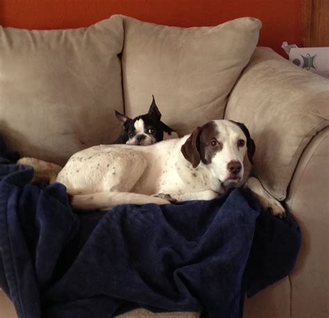 Day 1 The Basics Practicing Classy