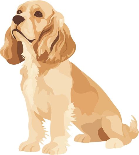 Cute Simple American Cocker Spaniel Clipart 52237535 Vector Art At Vecteezy