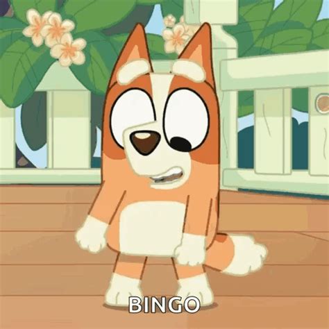 Bingo Bingo Bluey  Bingo Bingo Bluey Floss Discover And Share S
