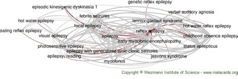 Reflex Epilepsy Disease Malacards Research Articles Drugs Genes