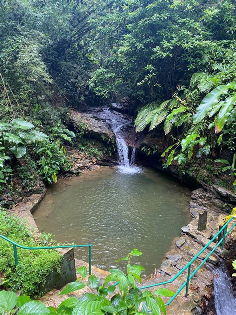 Asa Wright Nature Centre