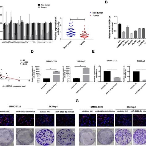 Identification Of The Circular Structure Of Circmapk9 And Its
