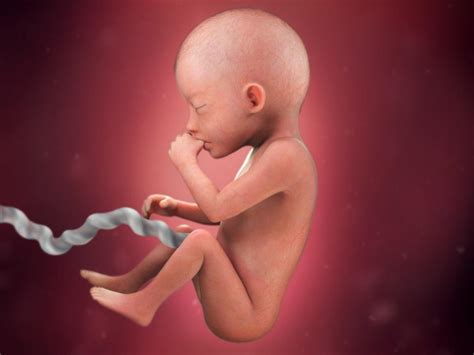 Health Girl Signs And Symptoms Of Pregnancy At 3 Weeks