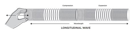 Longitudinal Wave Slinky