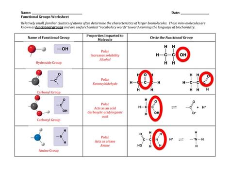 Functional Group Worksheet Pdf