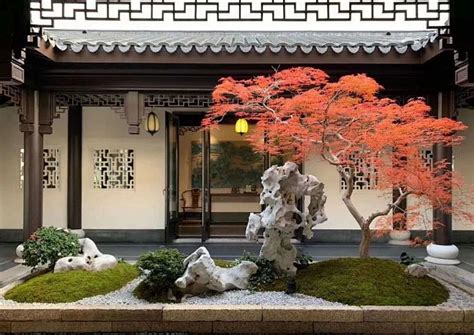 红枫