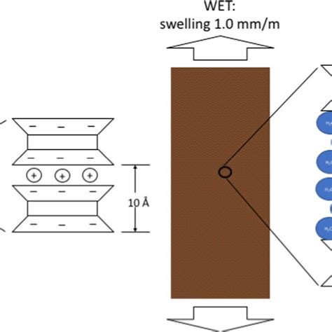 Swelling Strain Of Villarlod Molasse With Various Organic Solvents And