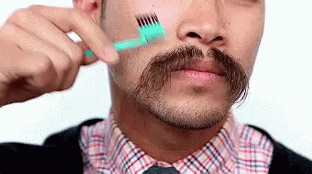 Comb Mustaches  Comb Mustaches Discover And Share S