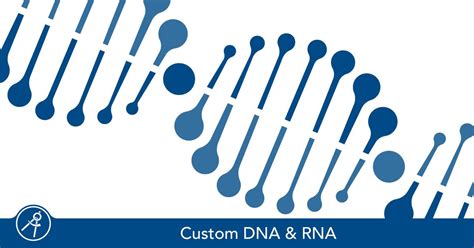 Do You Need A Modified Oligonucleotide Idt Can Provide Many