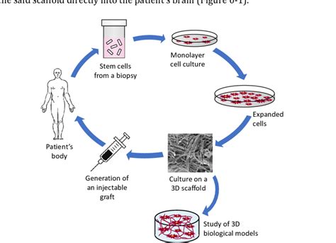 Tissue Engineering Approach For The Generation Of Injectable Grafts Out