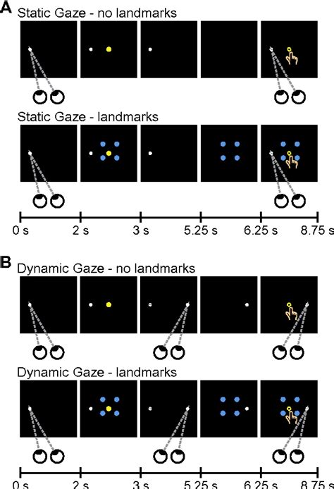 Figure 3 From Interactions Between Gaze Centered And Allocentric