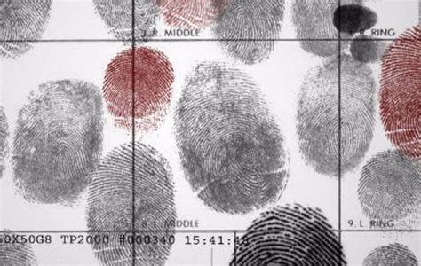 Forensic Science Small Online Class For Ages 11 16
