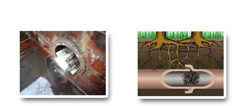 Drain Root Removal Kd Drainage