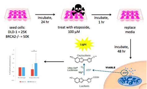 20109s19design Cell Viability Experiment And Complete Rna Seq Data
